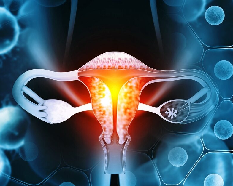 The Endometrium: A Tissue with Regenerative Potential